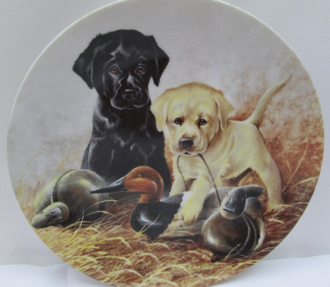 1989 Knowles Labrader Retrievers Puppy Dog Plate by Lynn Kaatz 8.5" - Etsy