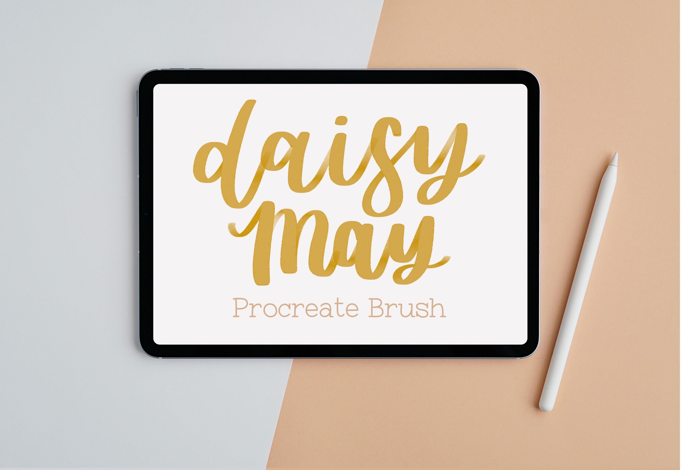 Daisy May Procreate Brush / Instant Download / Handlettering Tool ...