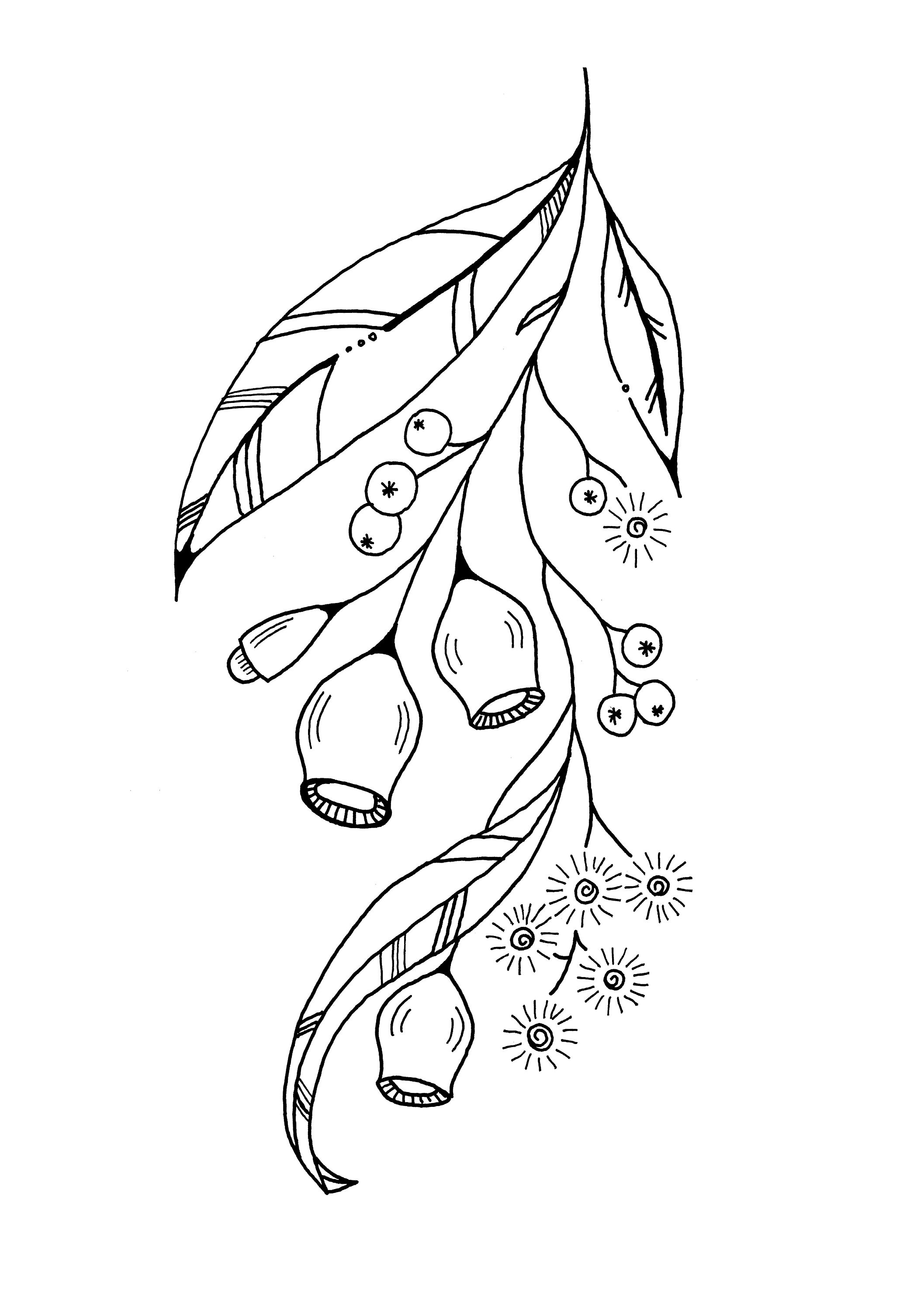 Gum Nuts Line Drawing, Digital Download, Print at Home, Modern Decor - Etsy