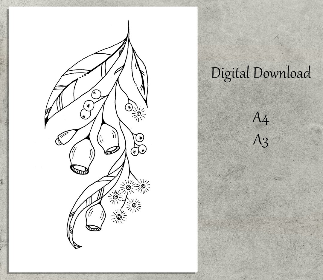 Gum Nuts Line Drawing, Digital Download, Print at Home, Modern Decor - Etsy