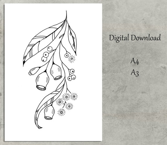 Gum Nuts Line Drawing Digital Download Print at Home Modern - Etsy