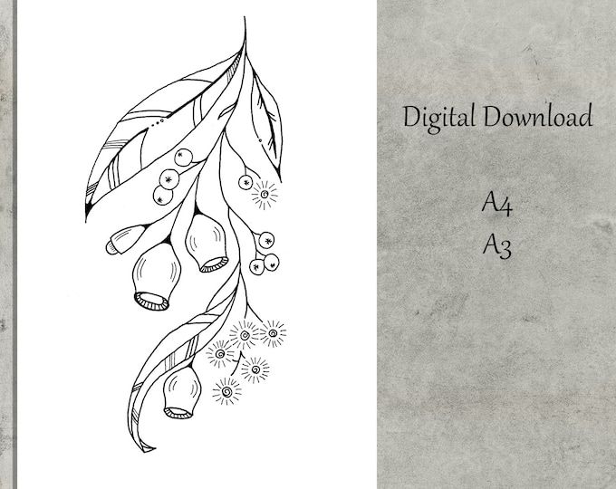 Gum Nuts Line Drawing, Digital Download, Print at Home, Modern Decor - Etsy