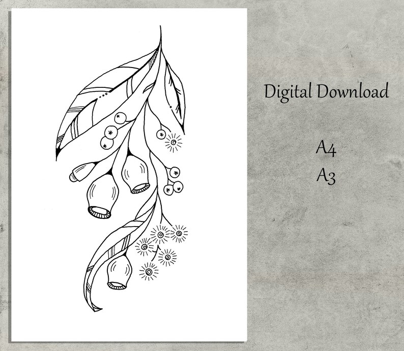 Gum Nuts Line Drawing, Digital Download, Print at Home, Modern Decor - Etsy