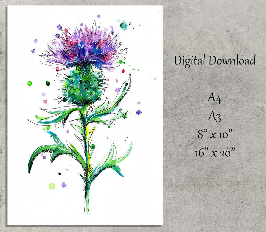 Watercolor Thistle Art, Digital Download, Downloadable Art, Scottish ...