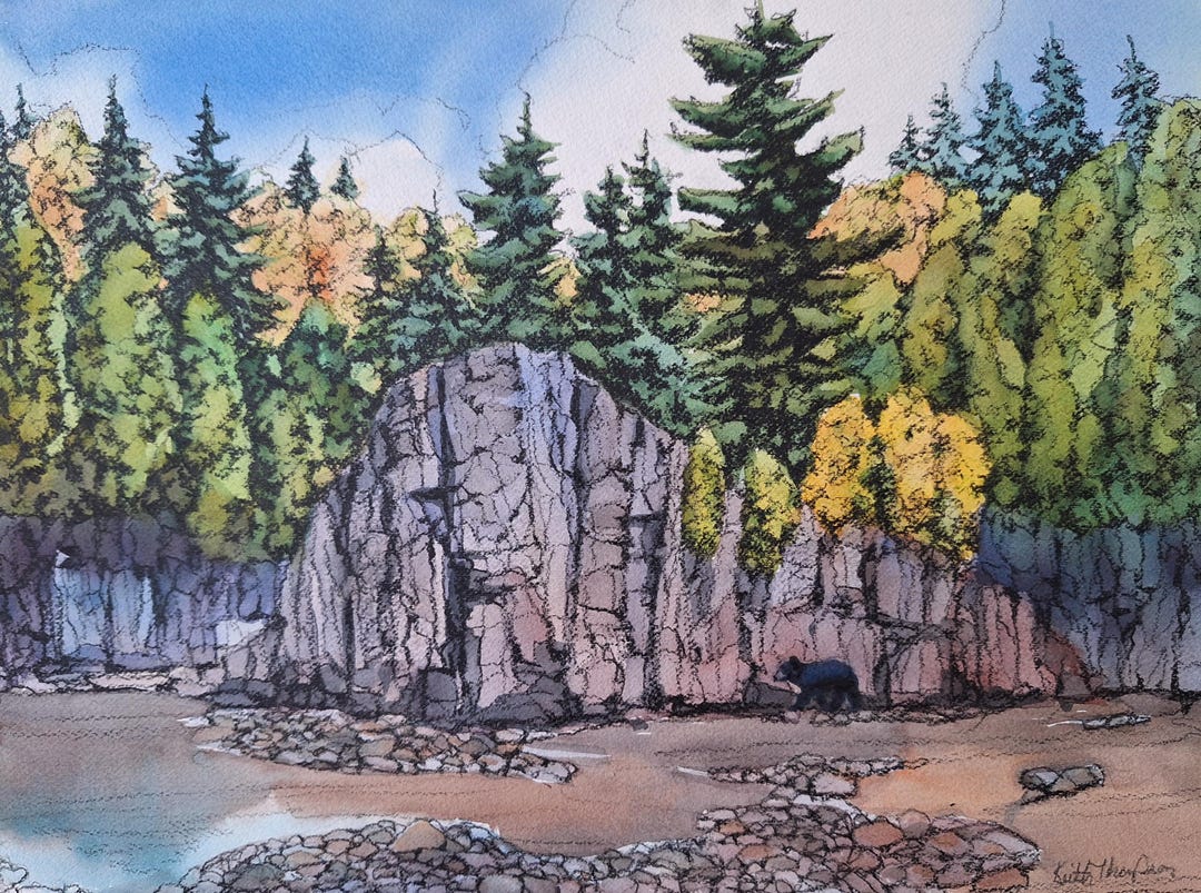 Black Bear Walking by the Rocks on Split Rock Creek on the North Shore ...