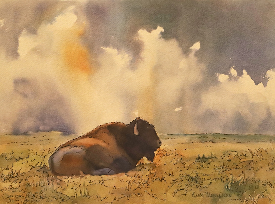 Lone Bison in Yellowstone With a Storm Approaching and the Clouds Are ...