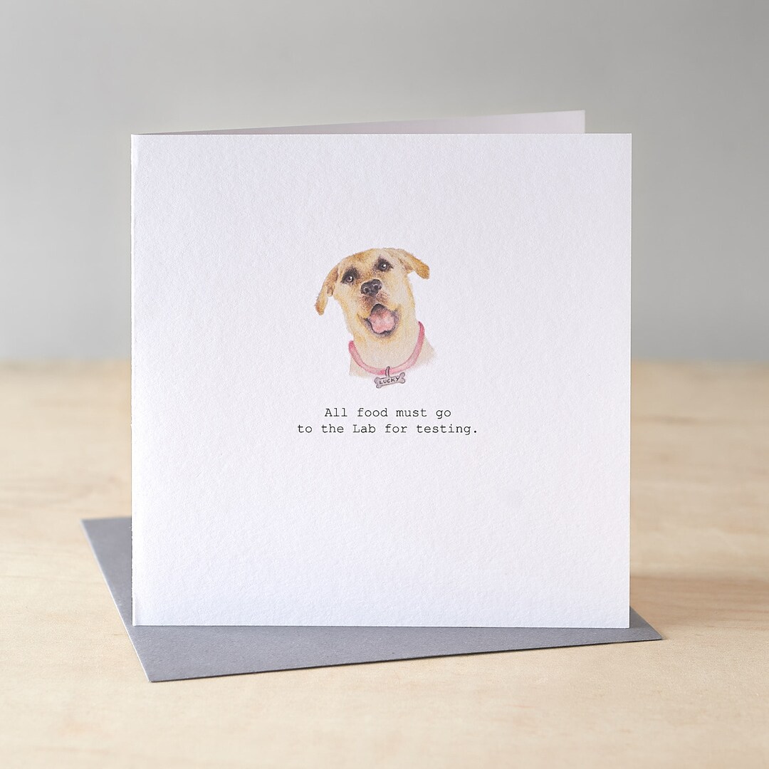 Yellow Labrador Birthday Card. Funny Labrador Birthday Card. Yellow Lab ...