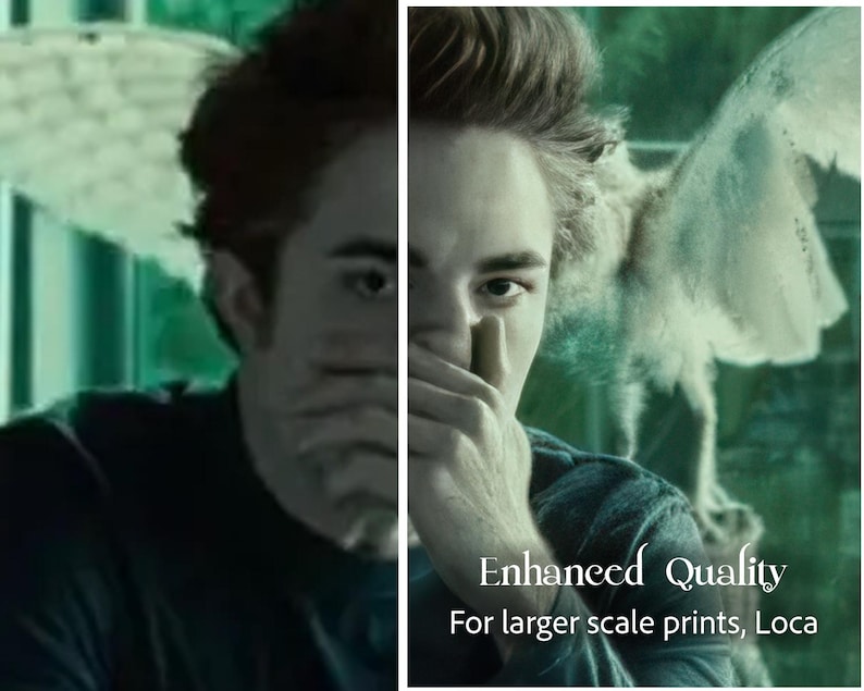 Funny Twilight Edward Cullen Stinky Face Bathroom Physical Wall Art ...