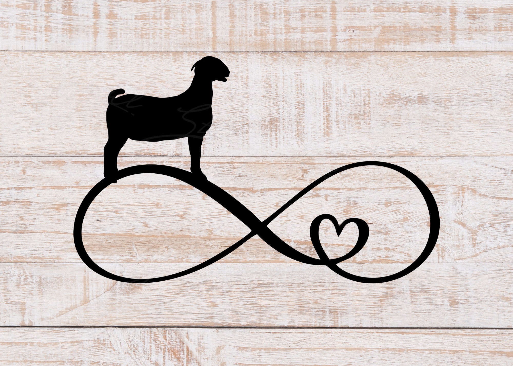 Goat Infinity Heart Stock Show Livestock Show Show Goat | Etsy