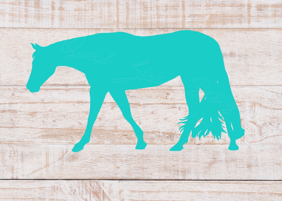 Horse - Horse Show, Pleasure Horse, Quarter Horse, Western Hunt Seat ...