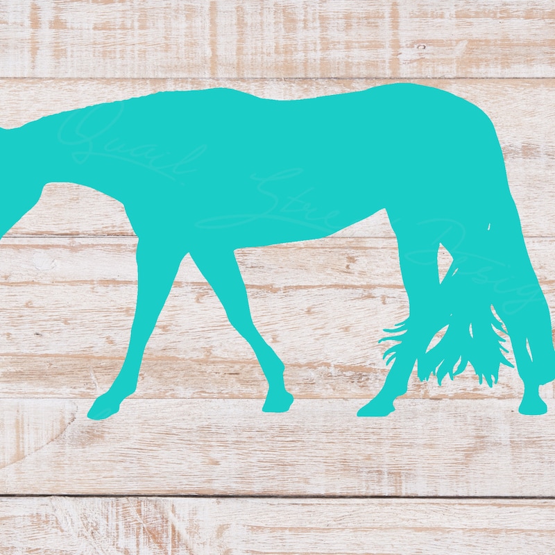 Aqha Decal - Etsy