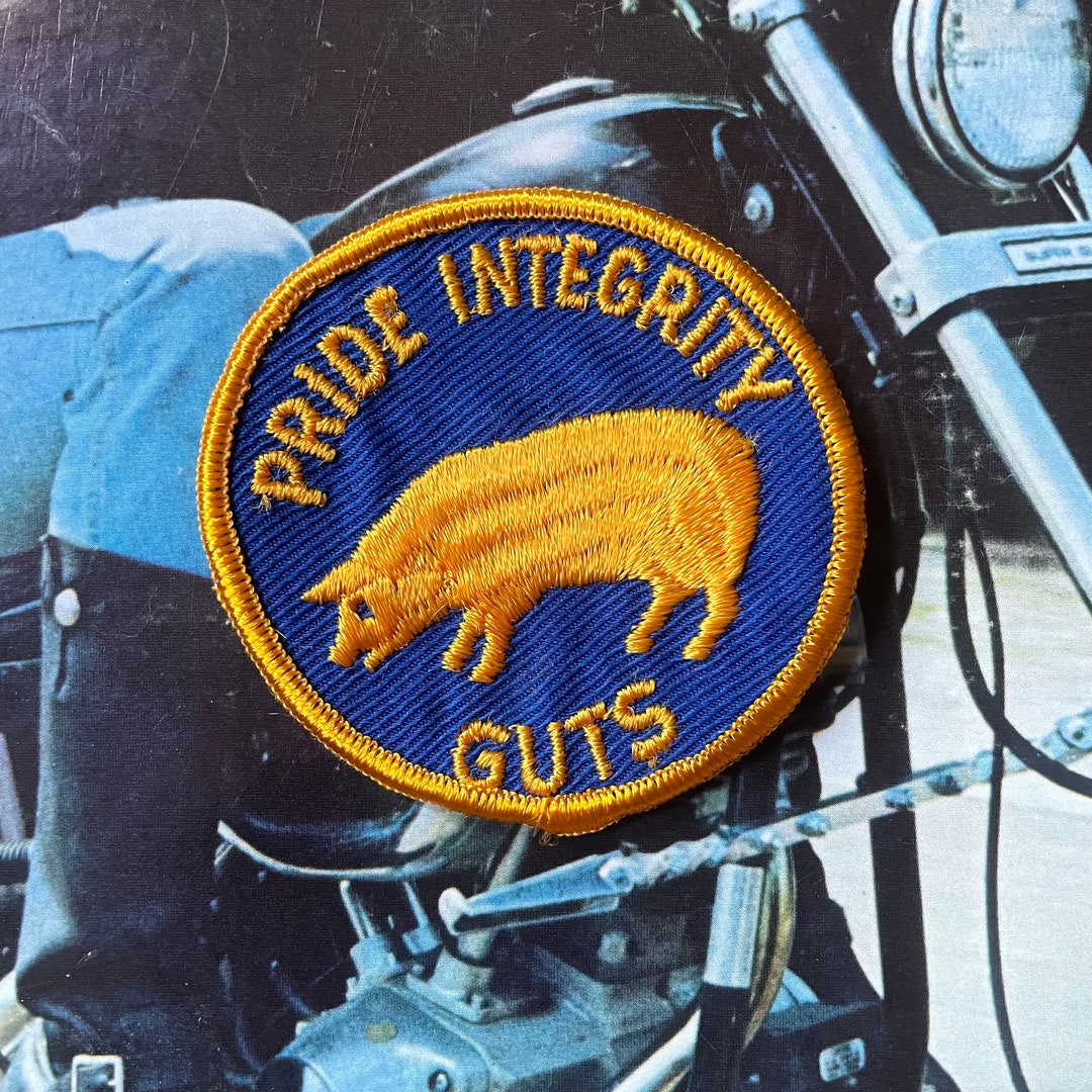 Vintage Pride Integrity Guts PIG Patch - Etsy
