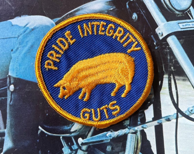 Vintage Pride Integrity Guts PIG Patch - Etsy
