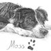 Pet Portrait, Pencil Drawing, Custom Sketch From Photo, Hand Drawn, Dog ...