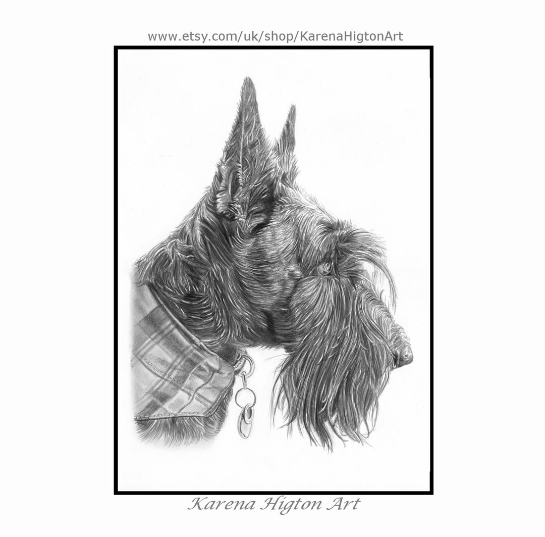 Pet Portrait Pencil Drawing Loss Memorial Gift Large Custom Sketch From ...