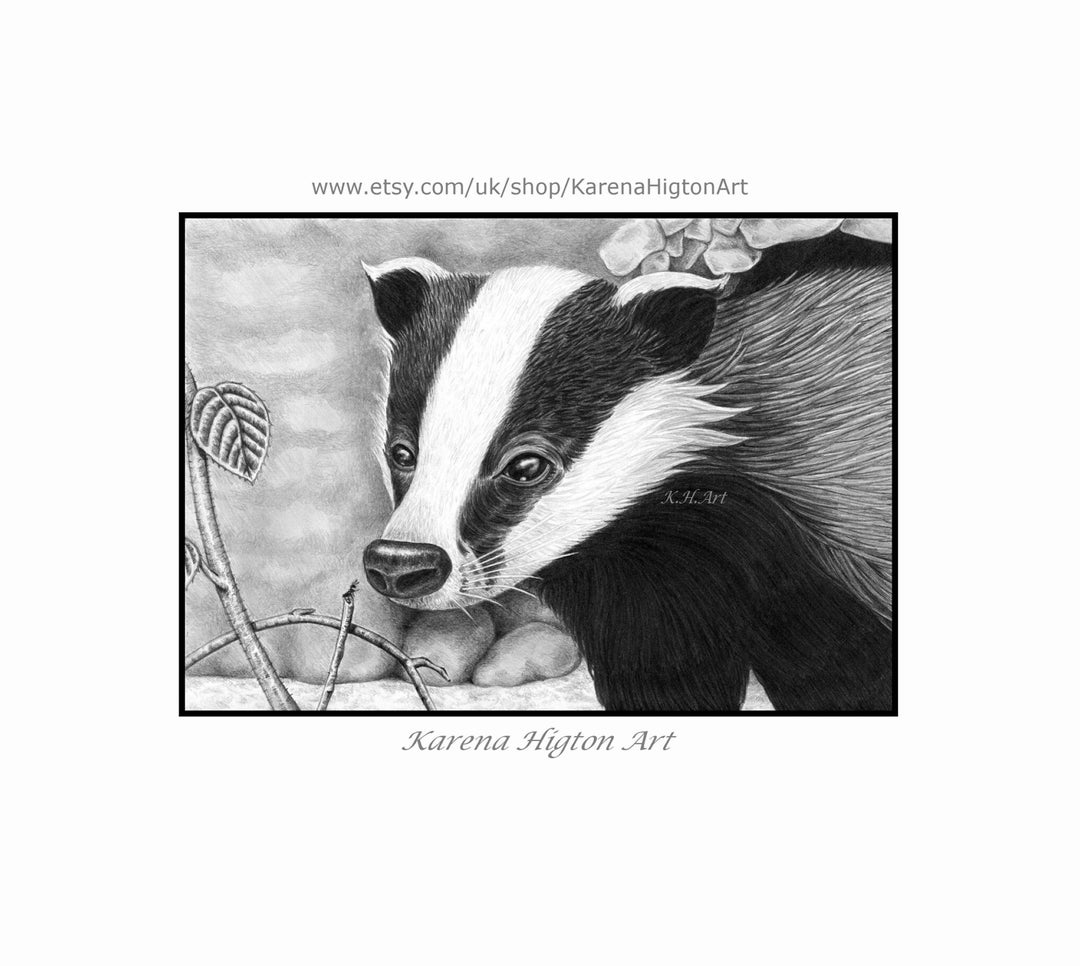 Badger Print Pencil Portrait Drawing Animal Wildlife - Etsy