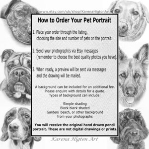 Pet Portrait, Pencil Drawing, Custom Sketch From Photo, Hand Drawn, Dog ...