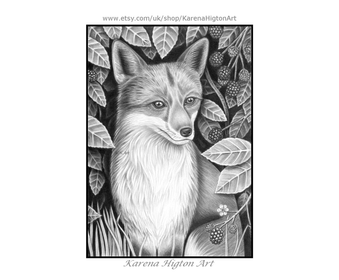 Fox Portrait Drawing Original Art Wildlife Pencil Illustration A4 Size ...