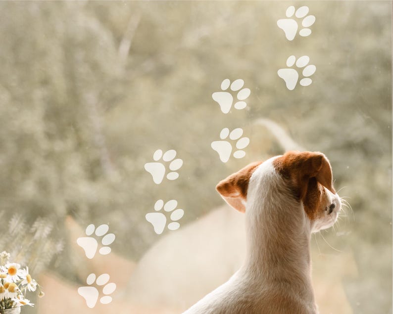 Dog Paw Print Window Safety Stickers: Etched Vinyl Decals - Etsy