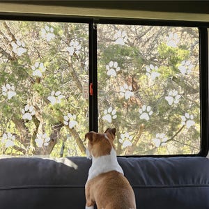 Dog Paw Print Window Stickers, Animal Footprint Safety Stickers for ...