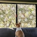 Dog Paw Print Window Safety Stickers: Etched Vinyl Decals - Etsy