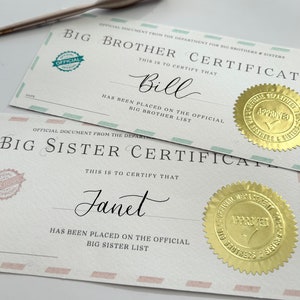 New Baby Pregnancy Announcement for Big Brothers and Sisters ...