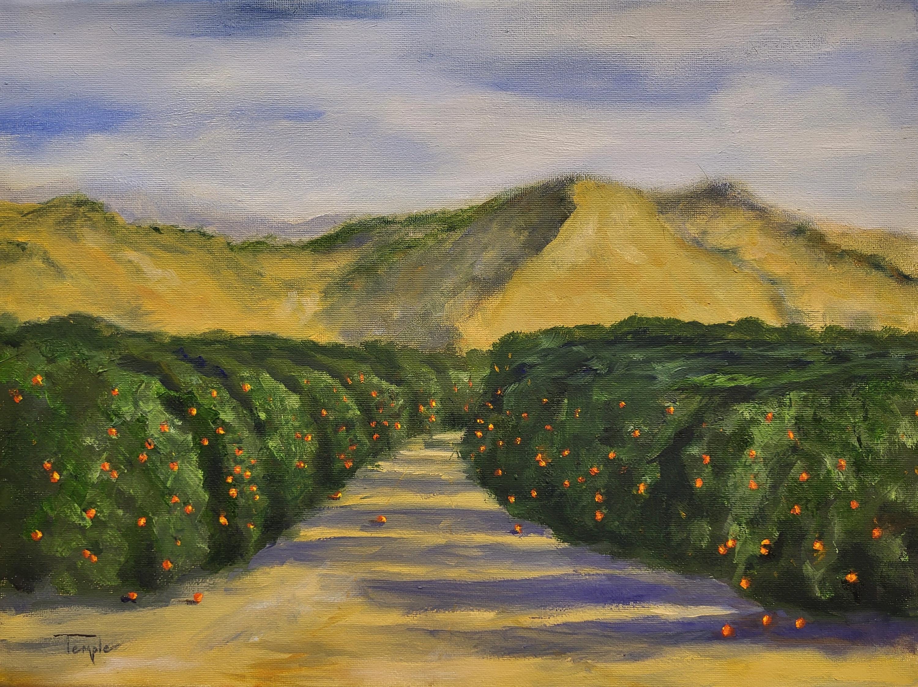 Plein Air Oil Painting, Orange Trees, Kern County, California, 12 X 16 ...