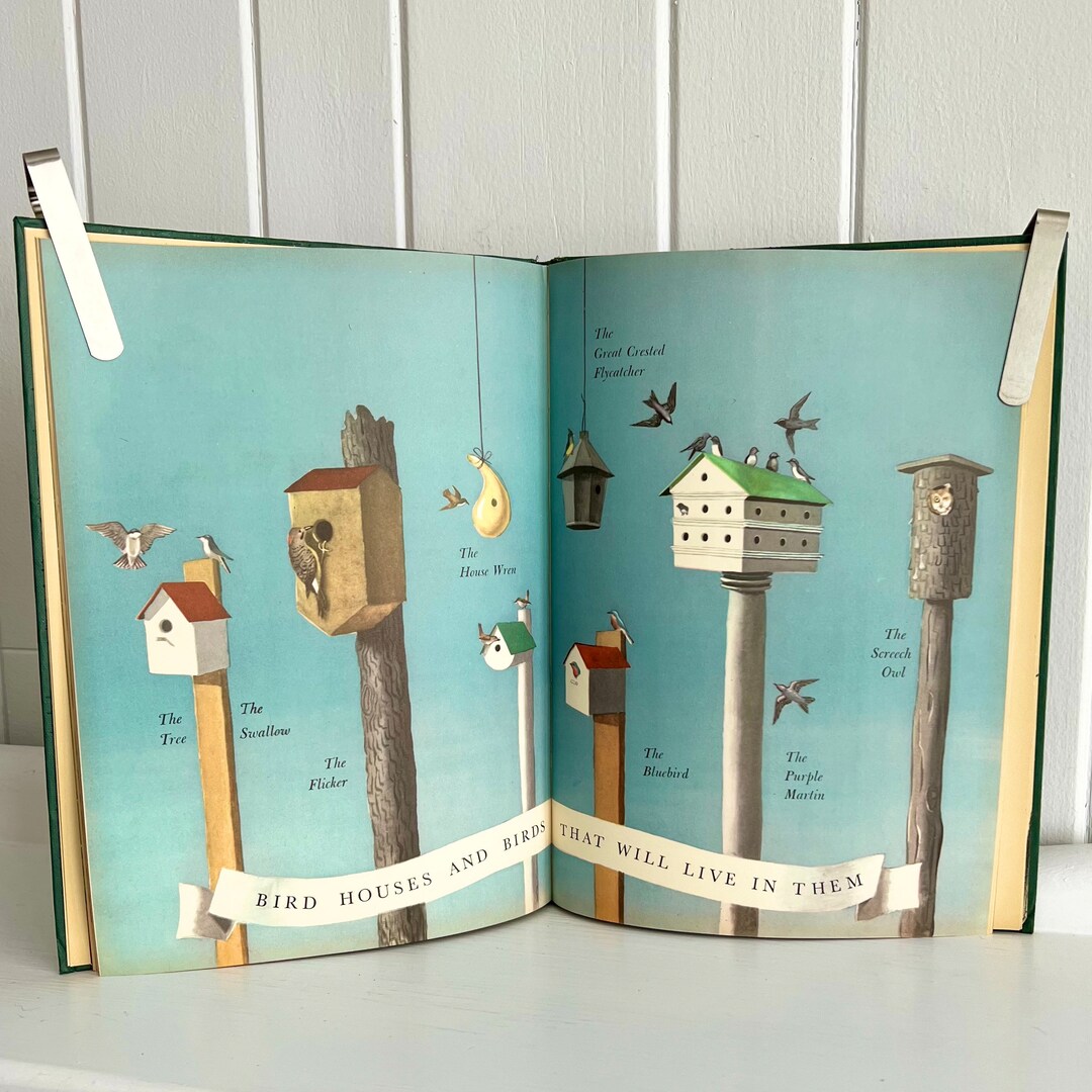 Birds in Their Homes, Addison Webb, 1947, Garden City Co., NY - Etsy