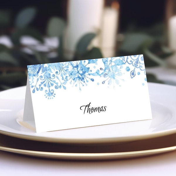 Frozen Place Cards - Etsy