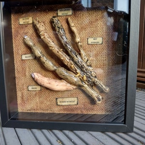 Stages of Decay Picture Frame - Etsy