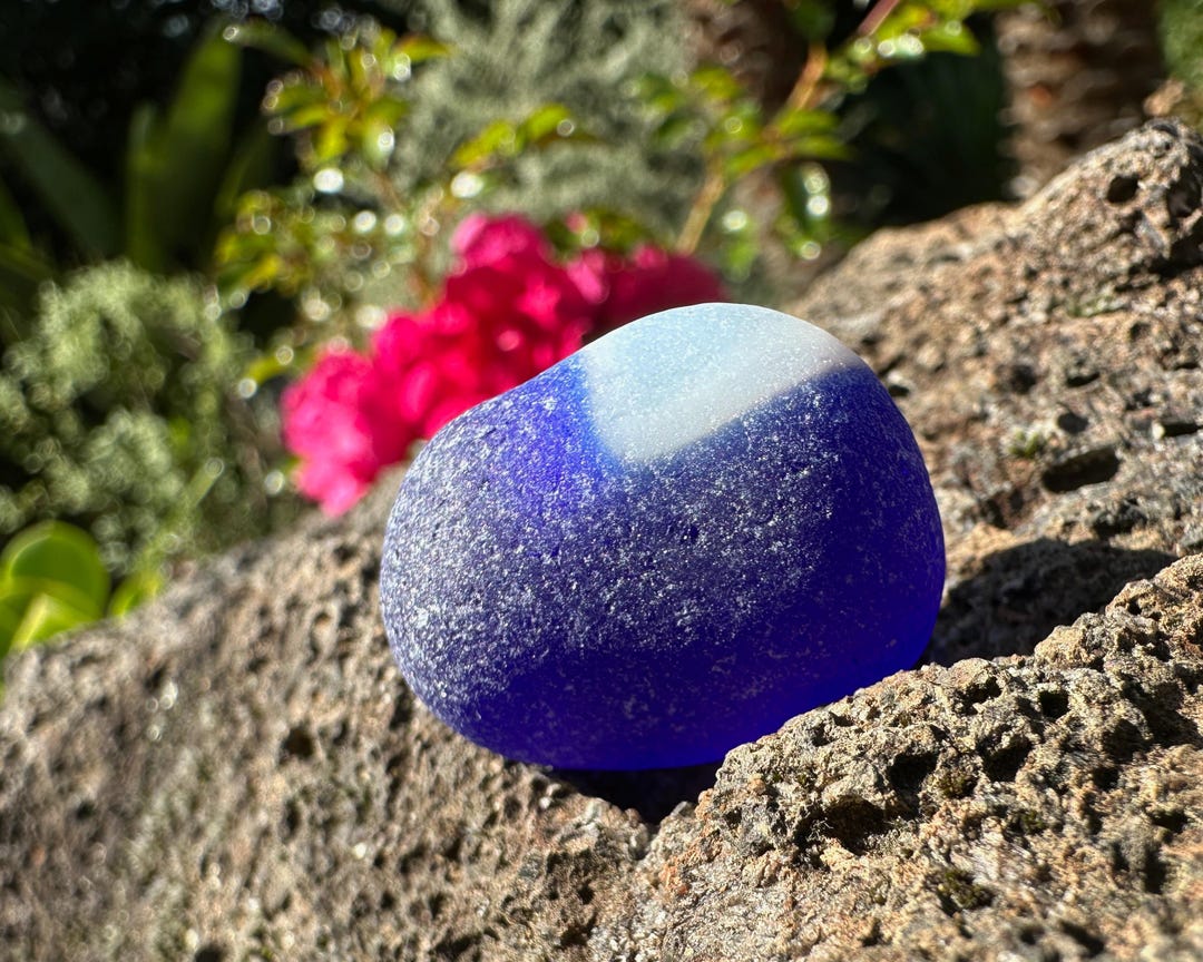 Cobalt Blue Multicolor Davenport Sea Glass - Rare Beach Glass From ...
