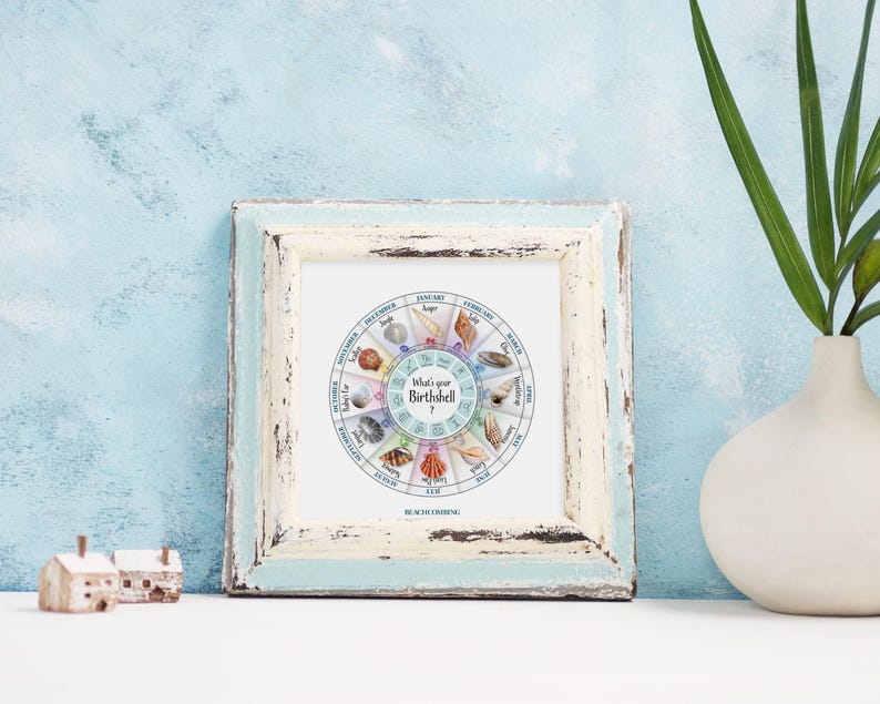 Birth Shell Chart - Square Print - Etsy