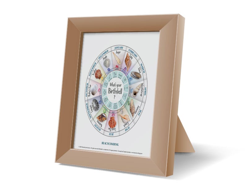 Birth Shell Chart - Square Print - Etsy