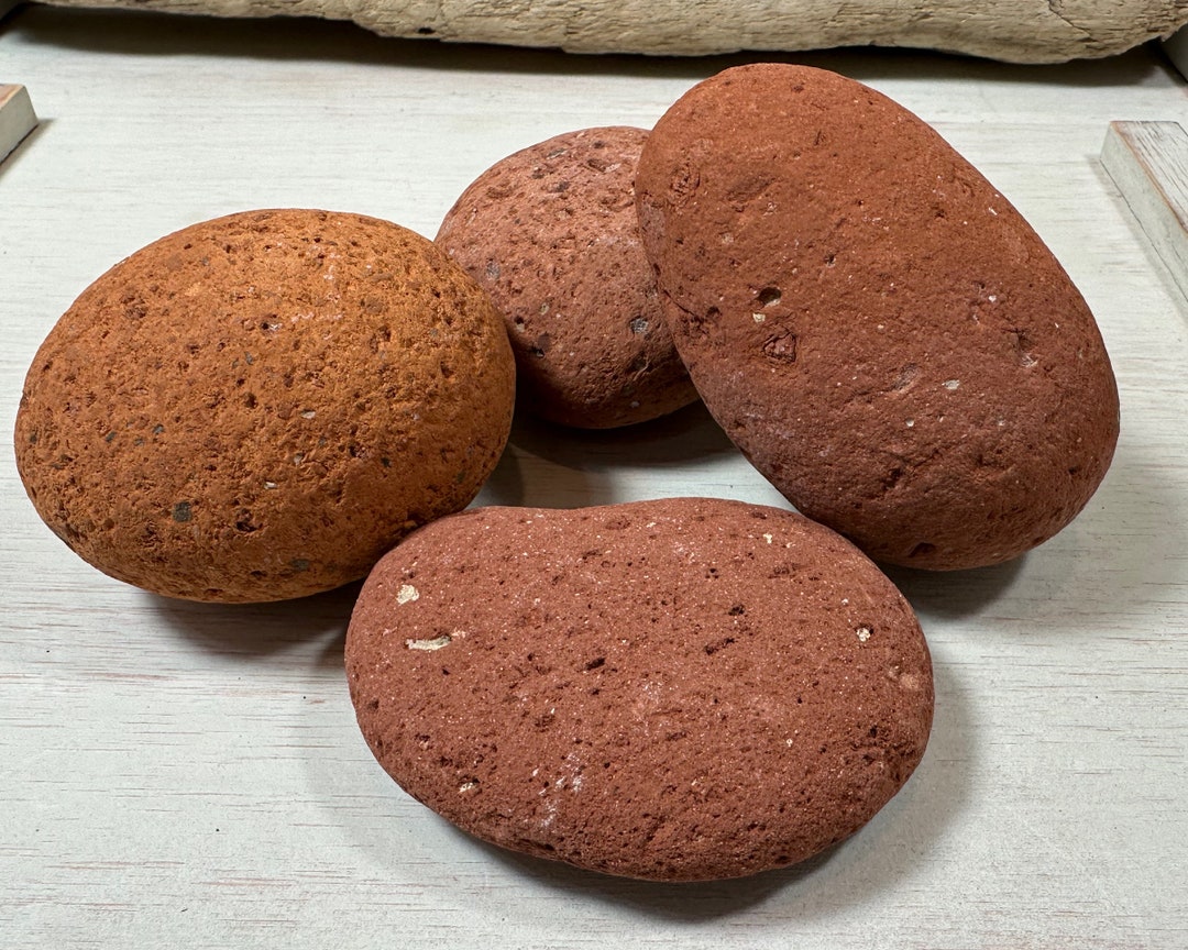 Terra Cotta Beach Bricks - 4 Pieces of Large Genuine Terra Cotta Sea ...