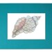 Sea Glass Seashell Seaglass Art Mosaic Conch Shell Matted - Etsy
