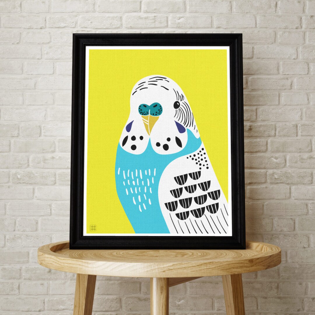 A2, Budgie, Australian Birds, Nature, Modern Wall Art, Contemporary ...