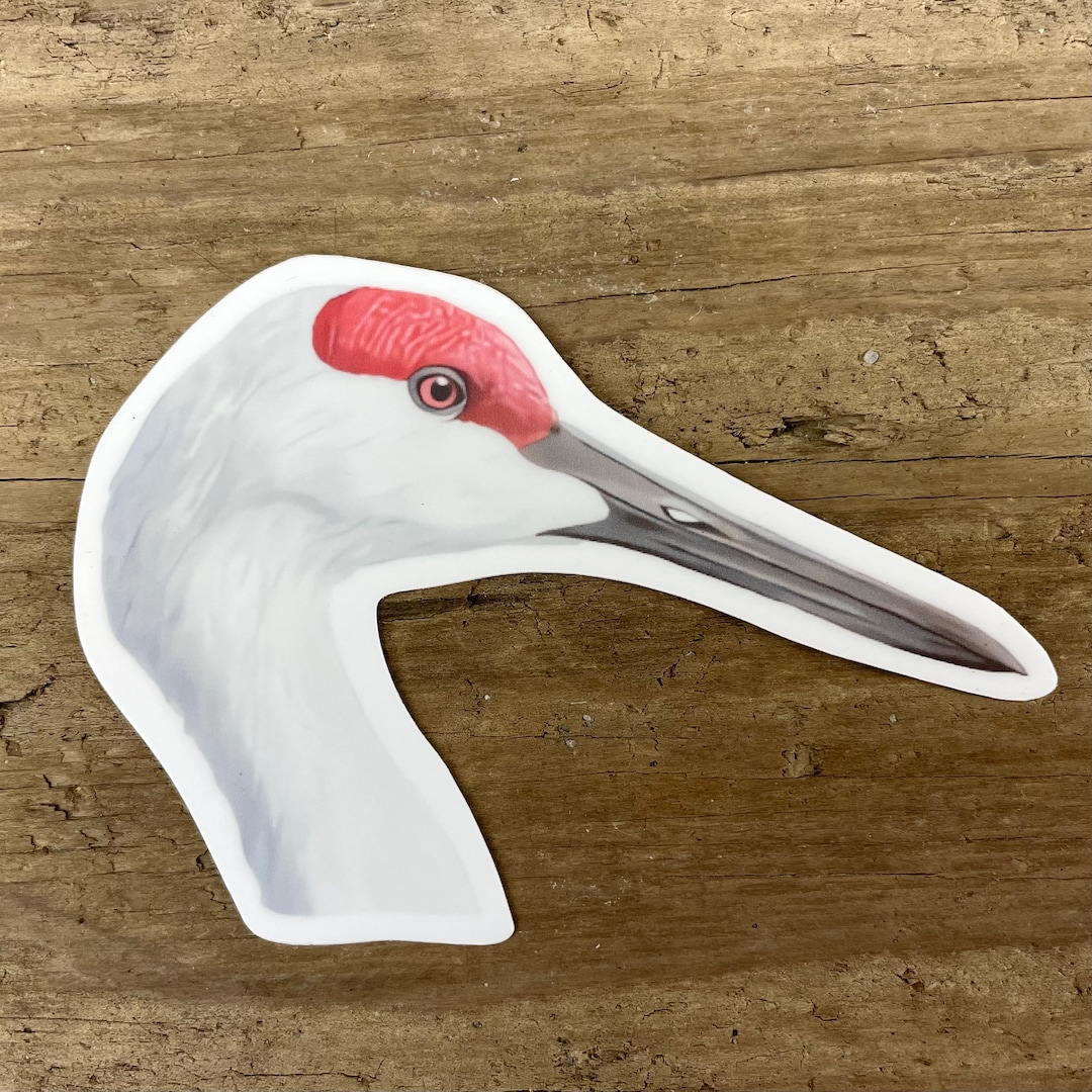 Sandhill Crane - Sticker, Bird Sticker, Birdwatching Sticker, Birding ...