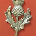 Pewter Scottish Thistle Made in Pewter Supplied on a Pin With Clasp ...