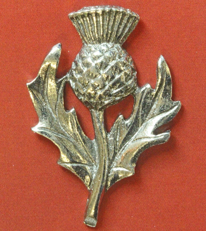 Pewter Scottish Thistle Made in Pewter Supplied on a Pin With Clasp ...