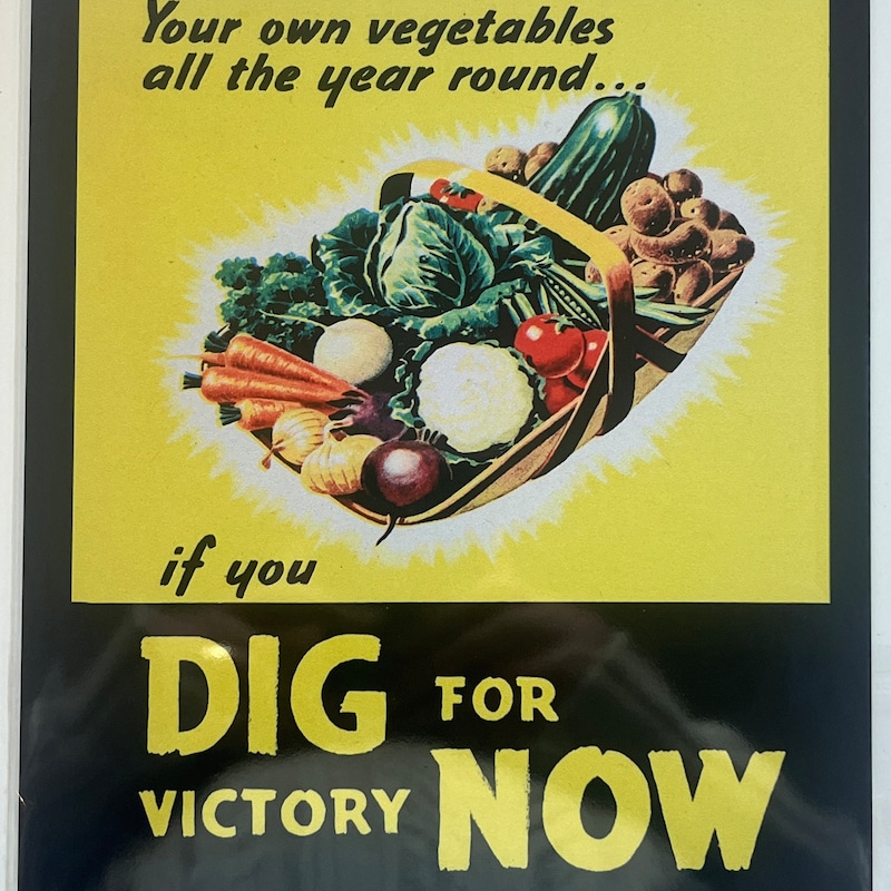Dig for Victory Poster - Etsy UK