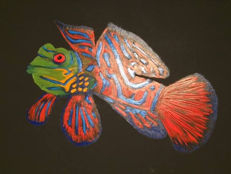 Mandarin Dragonet Saltwater Fish Original Finger Painting Matt Kinnaman ...