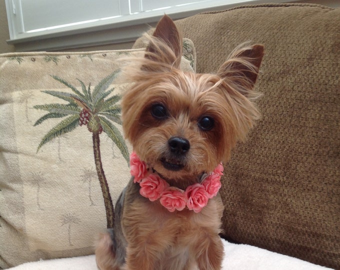 Flower Pet Collar Pink Flower Dog Collar Girl Dog Collar Fancy Cat ...
