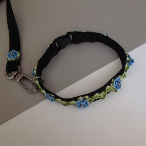 Fancy Pet Collar & Leash Set Dog Collar Leash Combo Cat Collar - Etsy