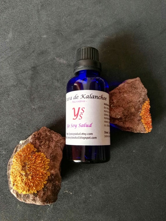 Kalanchoe Organic Tincture Kalanchoe Extract Maximum | Etsy UK