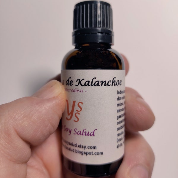 Kalanchoe Pinnata - Etsy