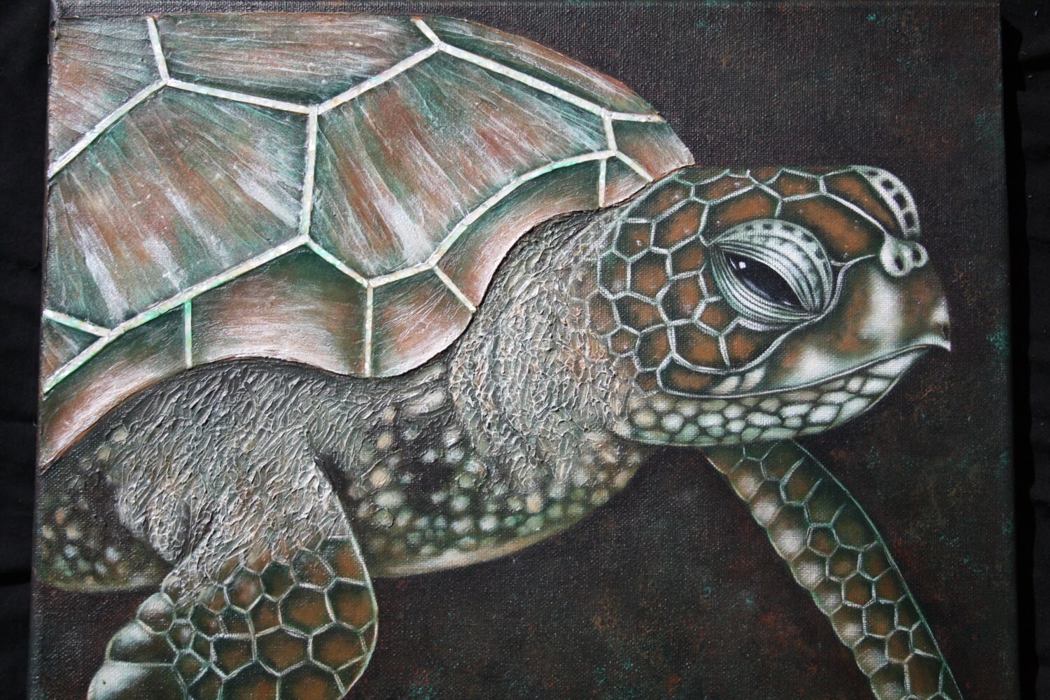 Pearly Turtle E Pattern Etsy