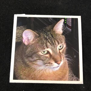 Cursed Image Sticker Pack - Etsy