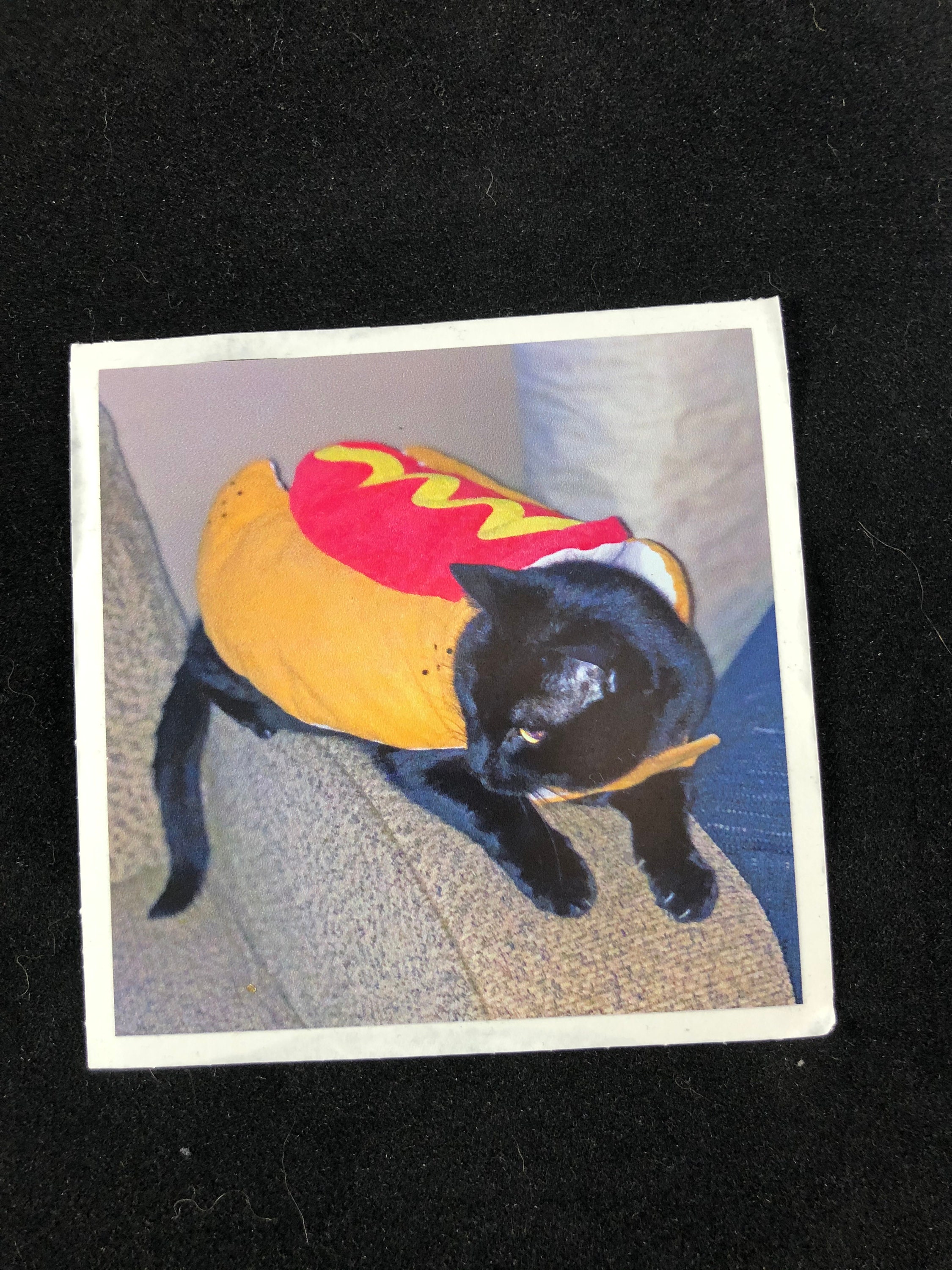 Cursed Image Sticker Pack - Etsy