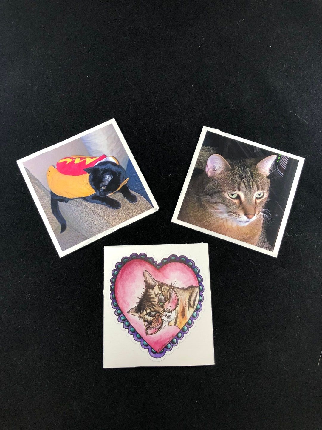 Cursed Image Sticker Pack - Etsy