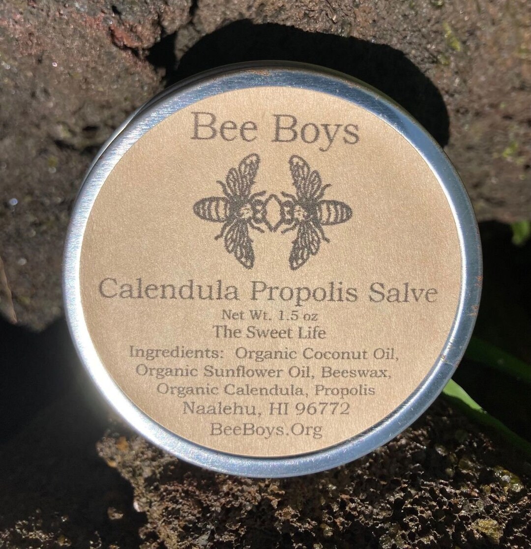 Calendula Propolis Salve - Etsy